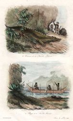 Antique Print Club | Home